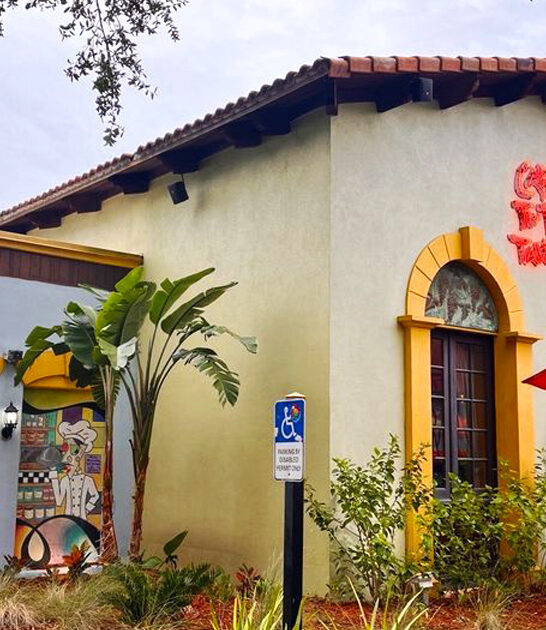 good alligator bites florida ftr