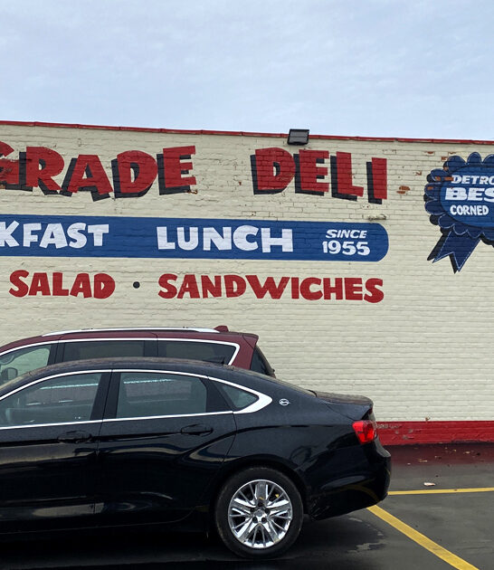 good sandwich deli michigan ftr