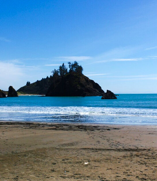 gorgeous california beach ftr