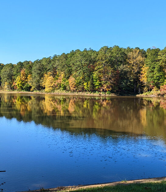 gorgeous north carolina trips ftr