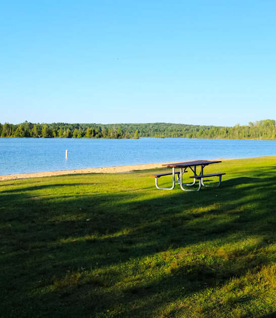 gorgeous park michigan trip ftr