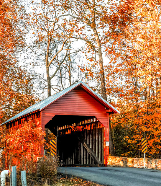 gorgeous postcard bridge maryland ftr