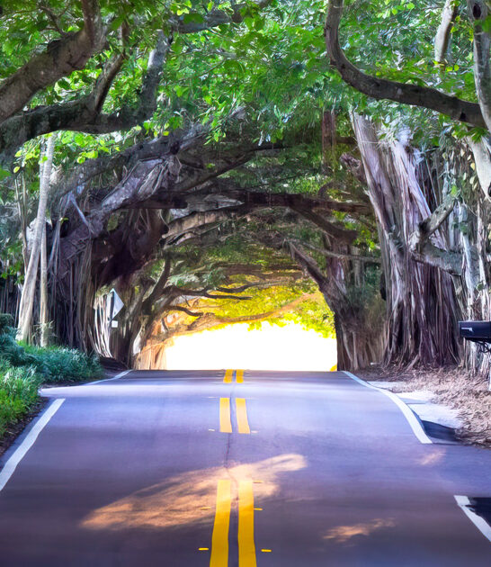 gorgeous scenic road florida FTR