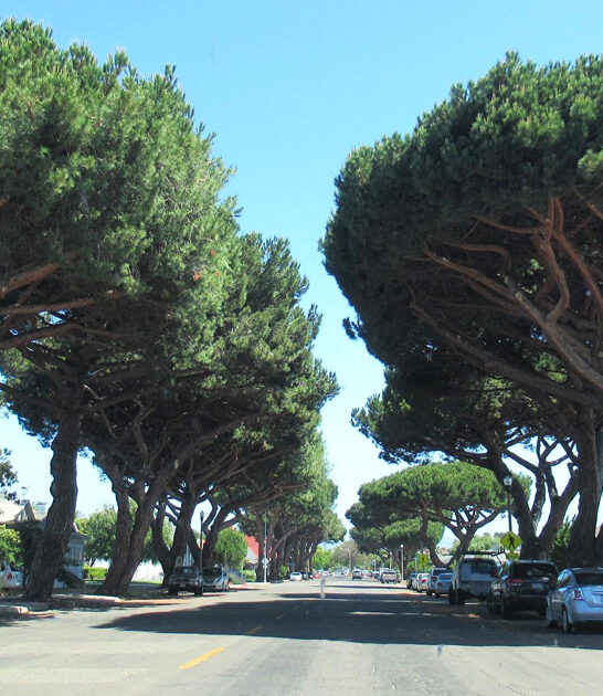 gorgeous town california daytrip ftr