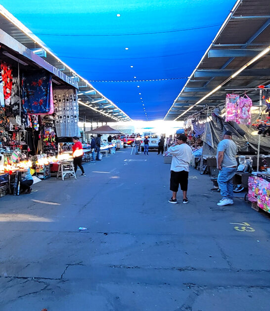 great finds arizona market ftr