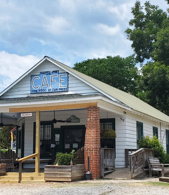 grilled catfish sandwich georgia ftr