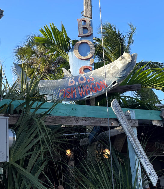 grouper sandwich seafood florida ftr