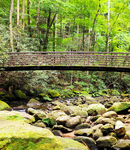 hidden park south carolina ftr