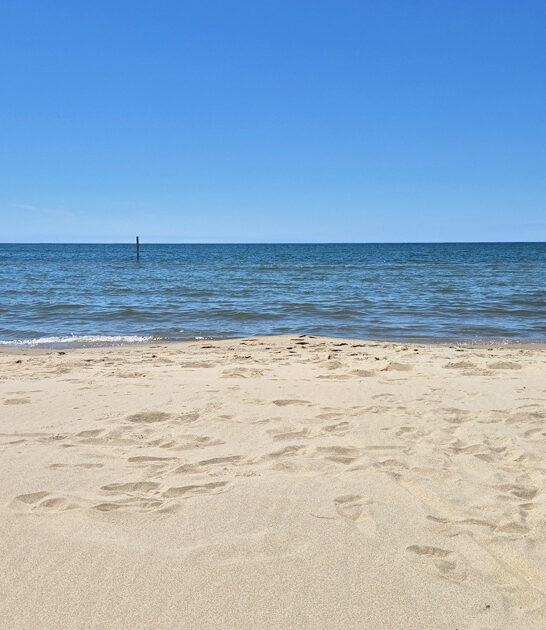 hidden stunning beach michigan ftr