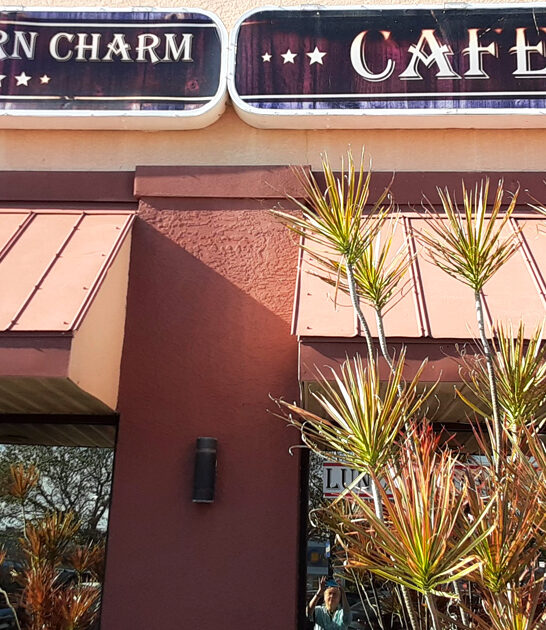 homey cafe florida locals ftr