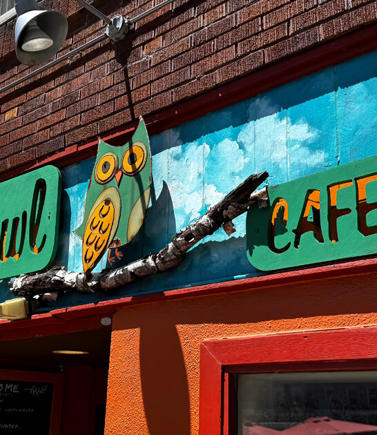 homey cafe wisconsin cheesesteak ftr