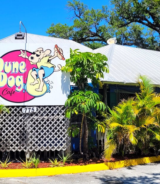 hot dog cravings florida ftr