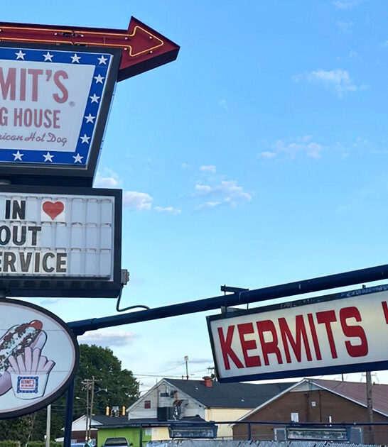 hotdog experience north carolina ftr