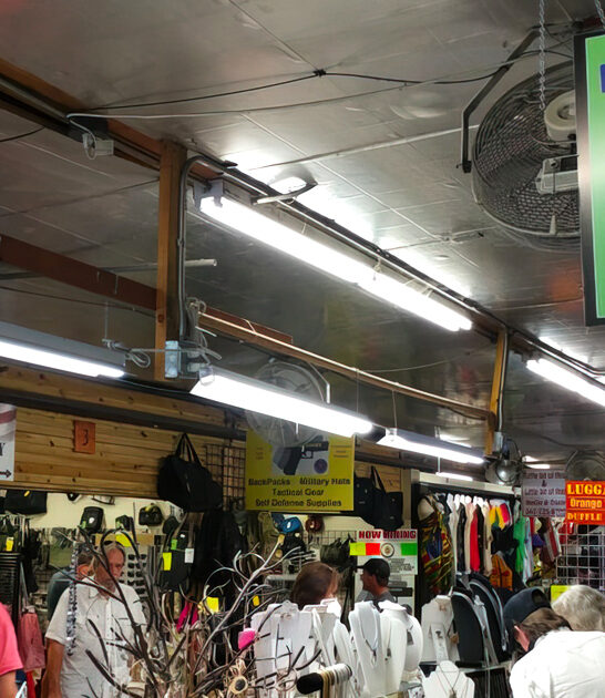 huge flea florida affordable ftr