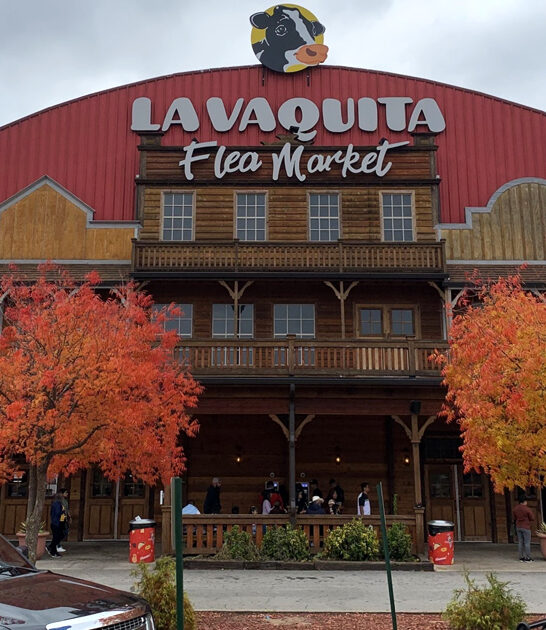 huge flea market georgia ftr