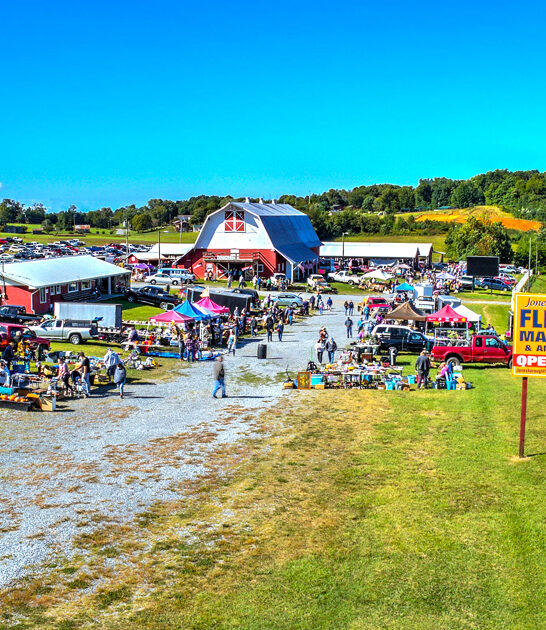 huge flea market tennessee FTR