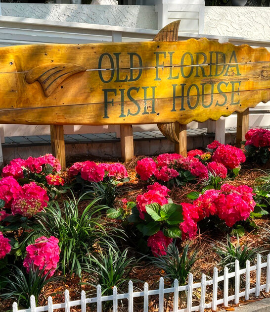 humble florida sushi gem ftr