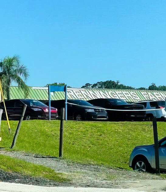 humongous florida flea paradise ftr