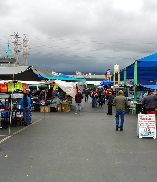 humongous swap meet california ftr