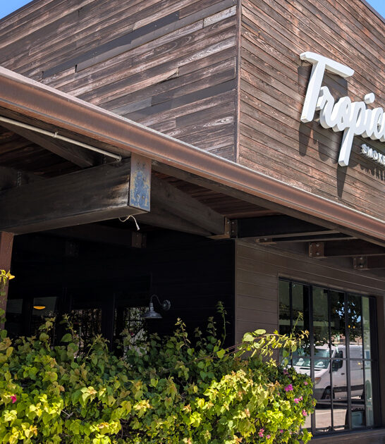 hush puppies joint florida ftr