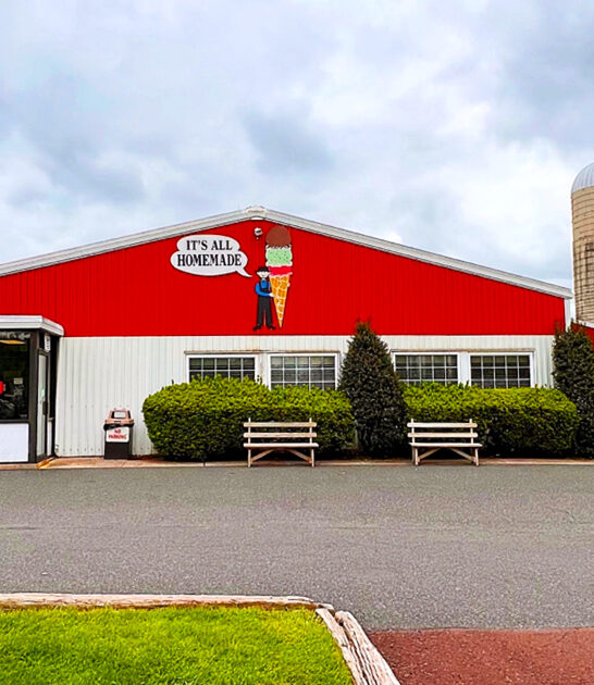 ice cream brownie pennsylvania ftr