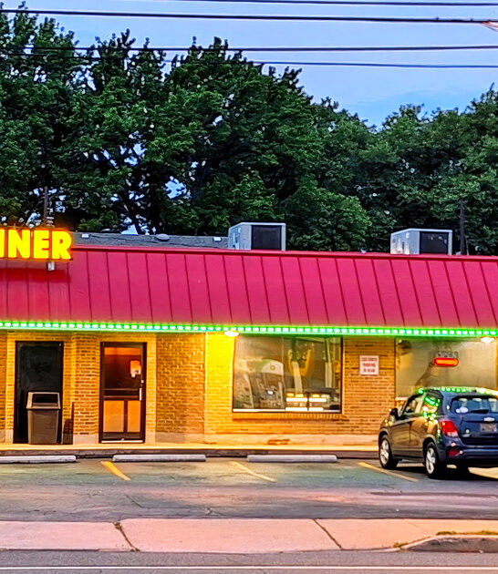 iconic diner delaware fries ftr