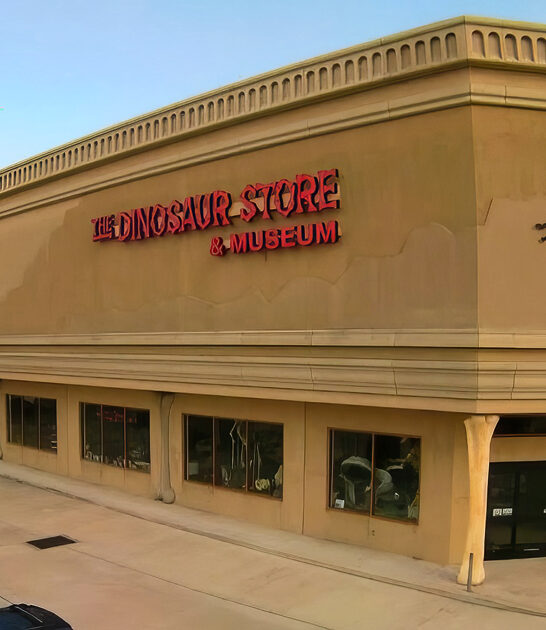 iconic dinosaur museum florida ftr