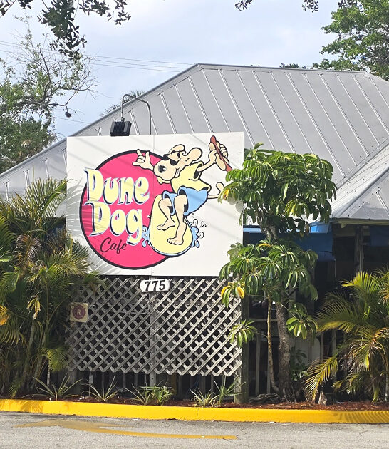 iconic hotdog bite florida ftr