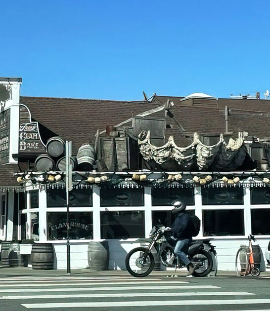 iconic seafood california calamari ftr