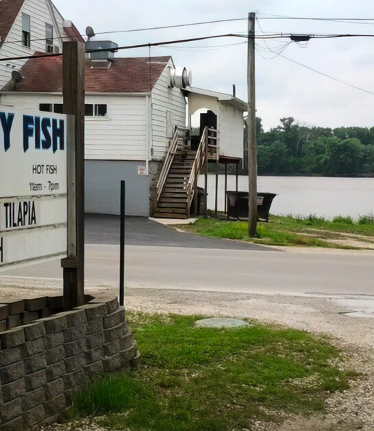 illinois catfish fritters good ftr
