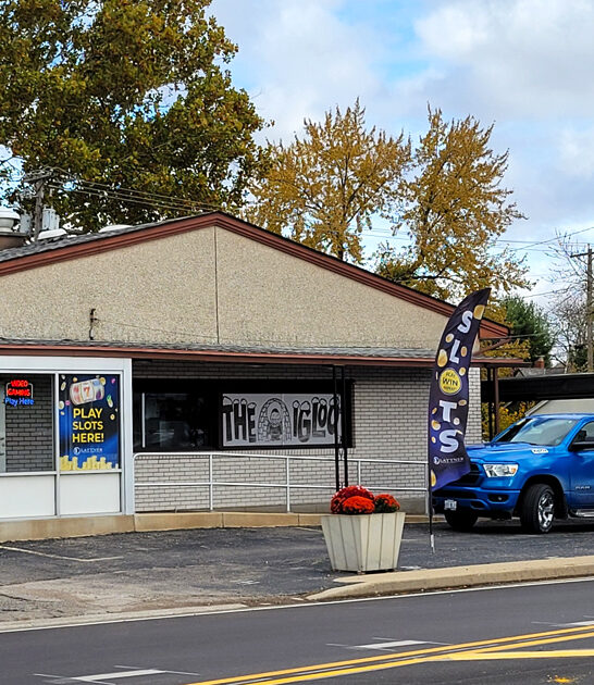 illinois delicious diner fries ftr