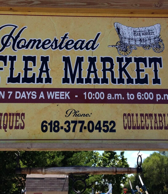 illinois perfect flea market ftr