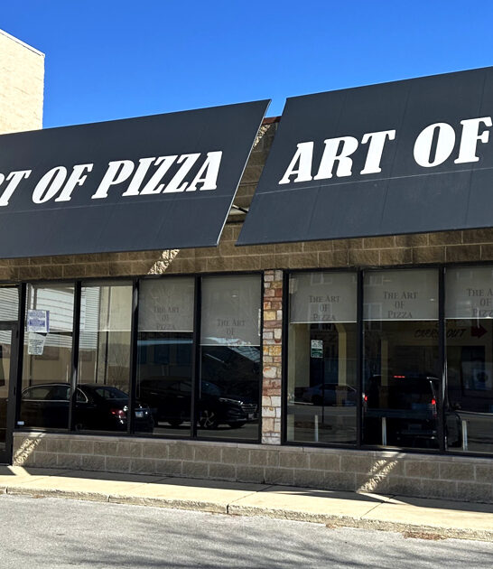 illinois pizza food experience ftr