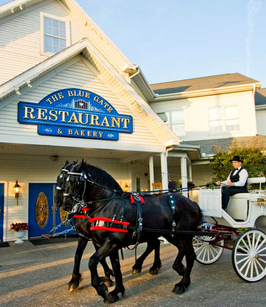 indiana amish dining culture ftr