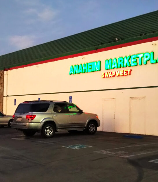 indoor flea destination california ftr