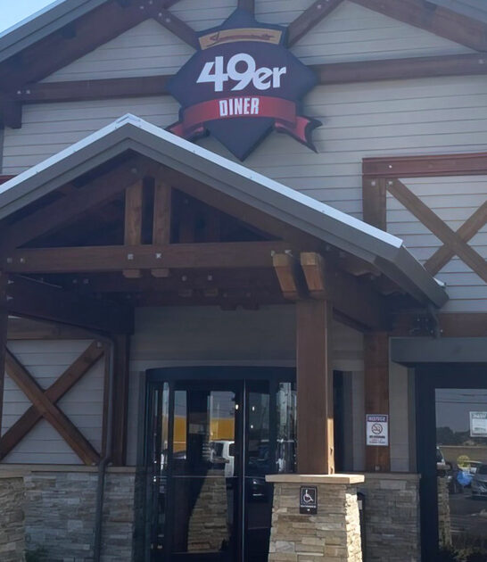 irresistible fries california diner ftr