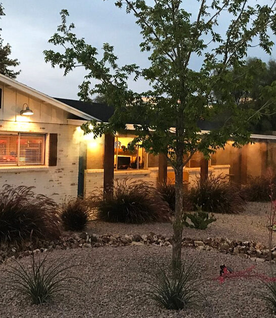 juicy casserole haven arizona ftr