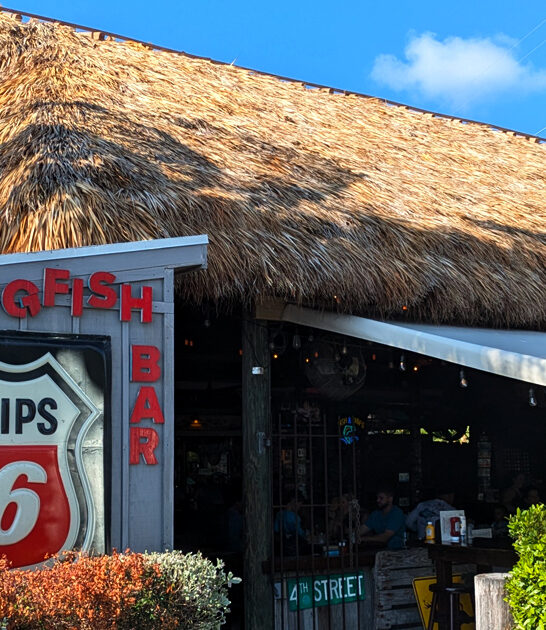 known florida fish chips ftr