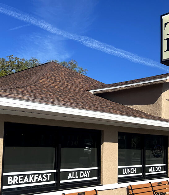 loaded cheese fries florida ftr