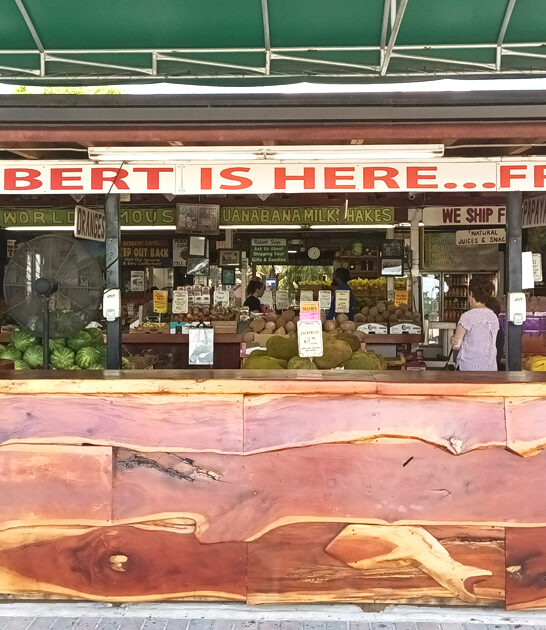 lowkey fruit stand florida ftr