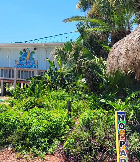 mahi tacos tiki florida ftr