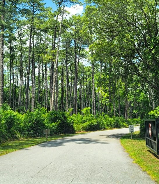 majestic florida state park ftr