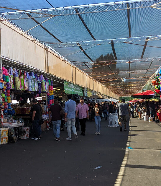 market california backseat bargains ftr