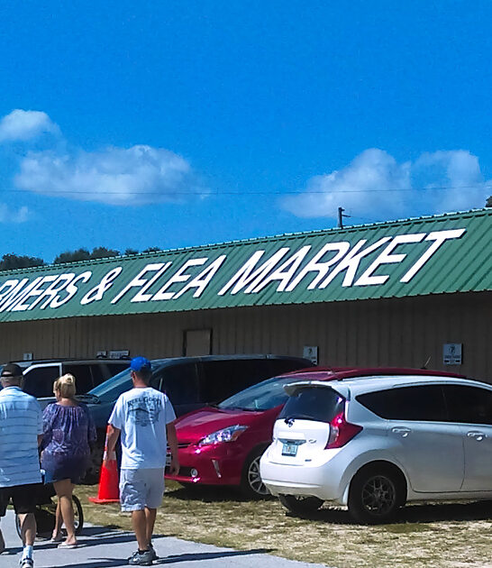 market florida massive trunk ftr