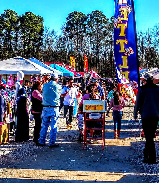 market north carolina bargains ftr