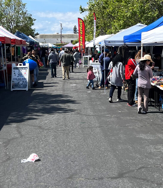 market treasures california ftr