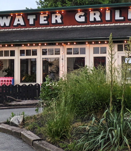 maryland bacon wrapped scallops ftr