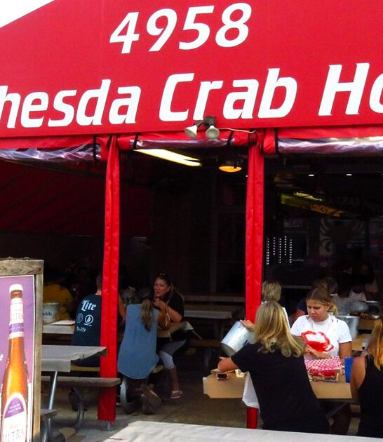maryland soft shell crab ftr