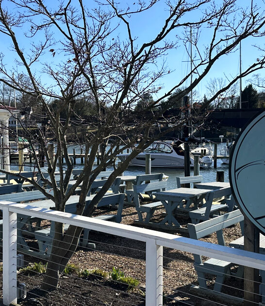 maryland steamed crab restaurant ftr