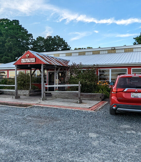 maryland steamed crabs ftr